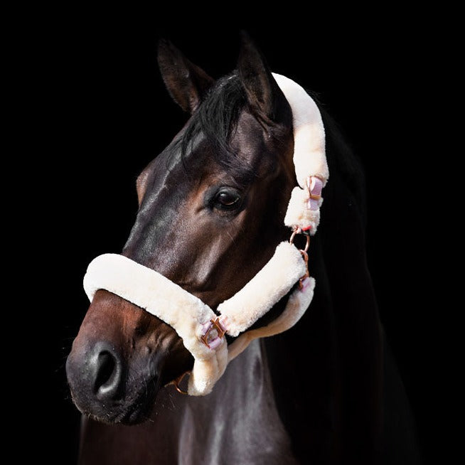 Licol doublé fourrure synthétique Imperial Riding Go Star