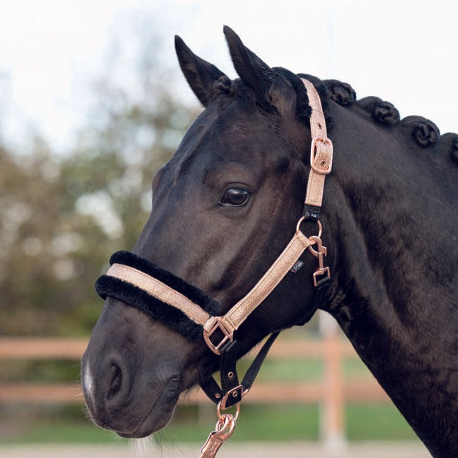 Licol doublé mouton synthétique poneys et chevaux HKM Rosegold Glitter